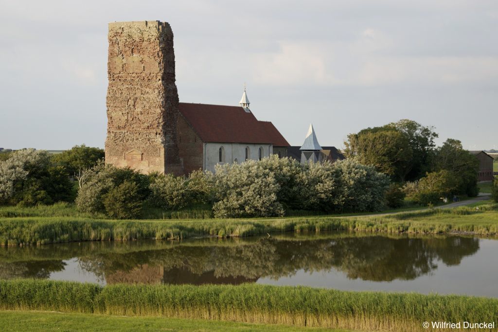 Neue Ausstellung auf Pellworm - Schutzstation Wattenmeer