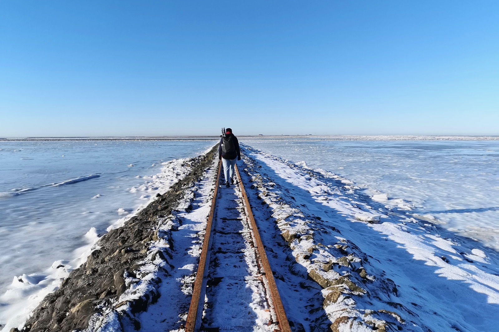 Vogelzählung im Tiefschnee - Schutzstation Wattenmeer